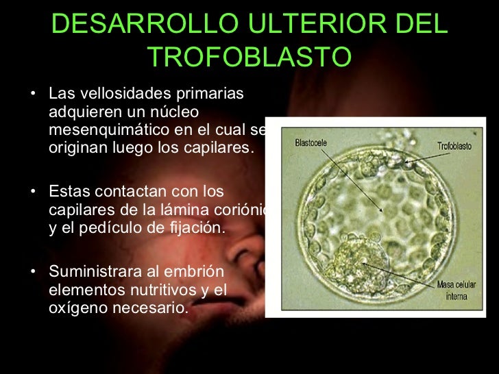 DESARROLLO DEL TROFOBLASTO PDF