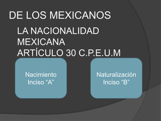 D. constitucional ii | PPTX