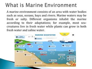 Environmental Impact Assessment for the marine environment | PPT
