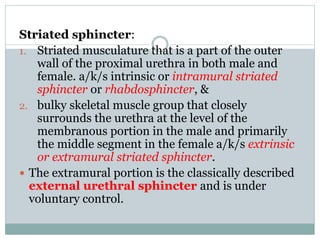 Detrusor Sphincter Dyssynergia | PPTX