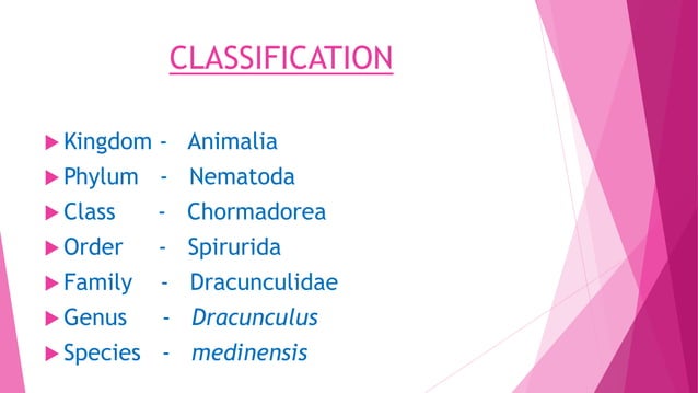 Life cycle of Dracunculus medinensis | PPT