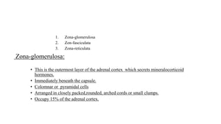 adrenal cortex | PPTX