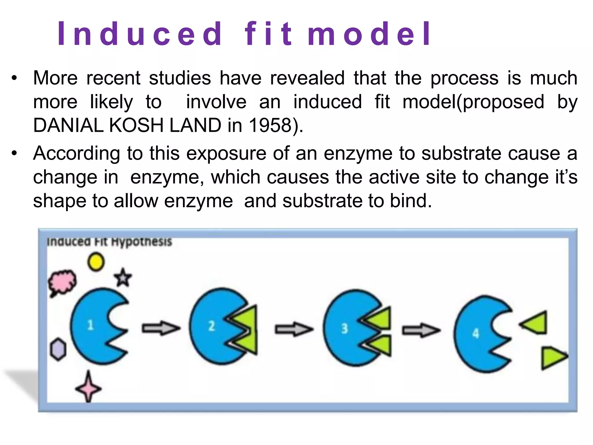 D. Pharm BIOCHEMISTRY AND CLINICAL PATHOLOGY Enzyme | PPTX