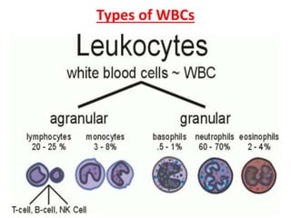 PATHOLOGY OF BLOOD AND URINE | PPTX