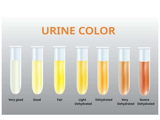 PATHOLOGY OF BLOOD AND URINE | PPTX