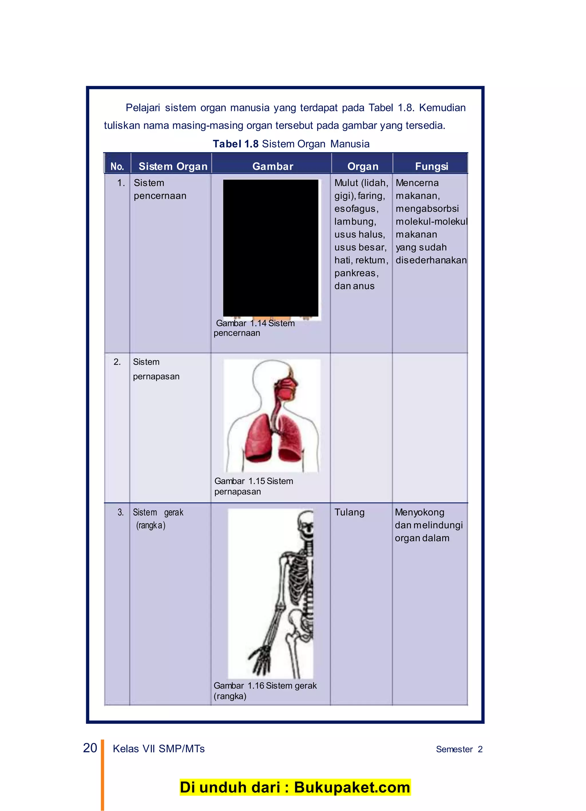 D. sistem organ dan organisme | DOCX