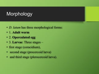D.pptx | Digestive Disorders | Diseases and Conditions