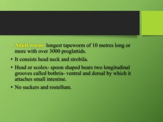 D.pptx | Digestive Disorders | Diseases and Conditions