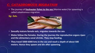 Migration & Types of Migration by D.Ram Kumar | PPT