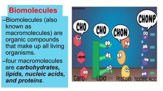 BIOMOLECULES-CARBOHYDRATE_the most abundant biomoleculepptx | PPT
