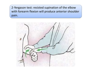 D. Ihsan Rotator Cuff Disorders-4 (Muhadharaty).pptx