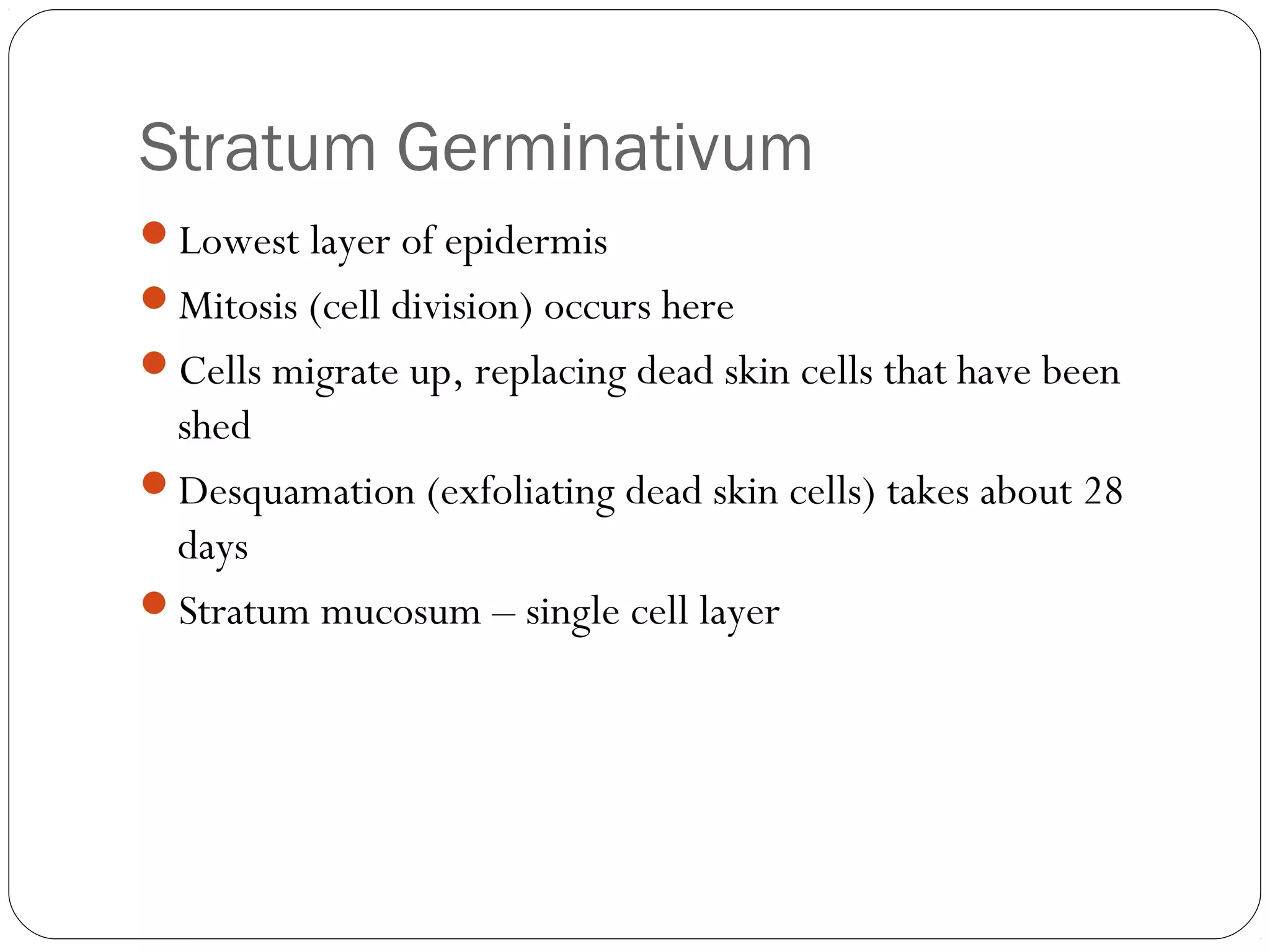 D anatomy and physiology of the hair and skin | PPT