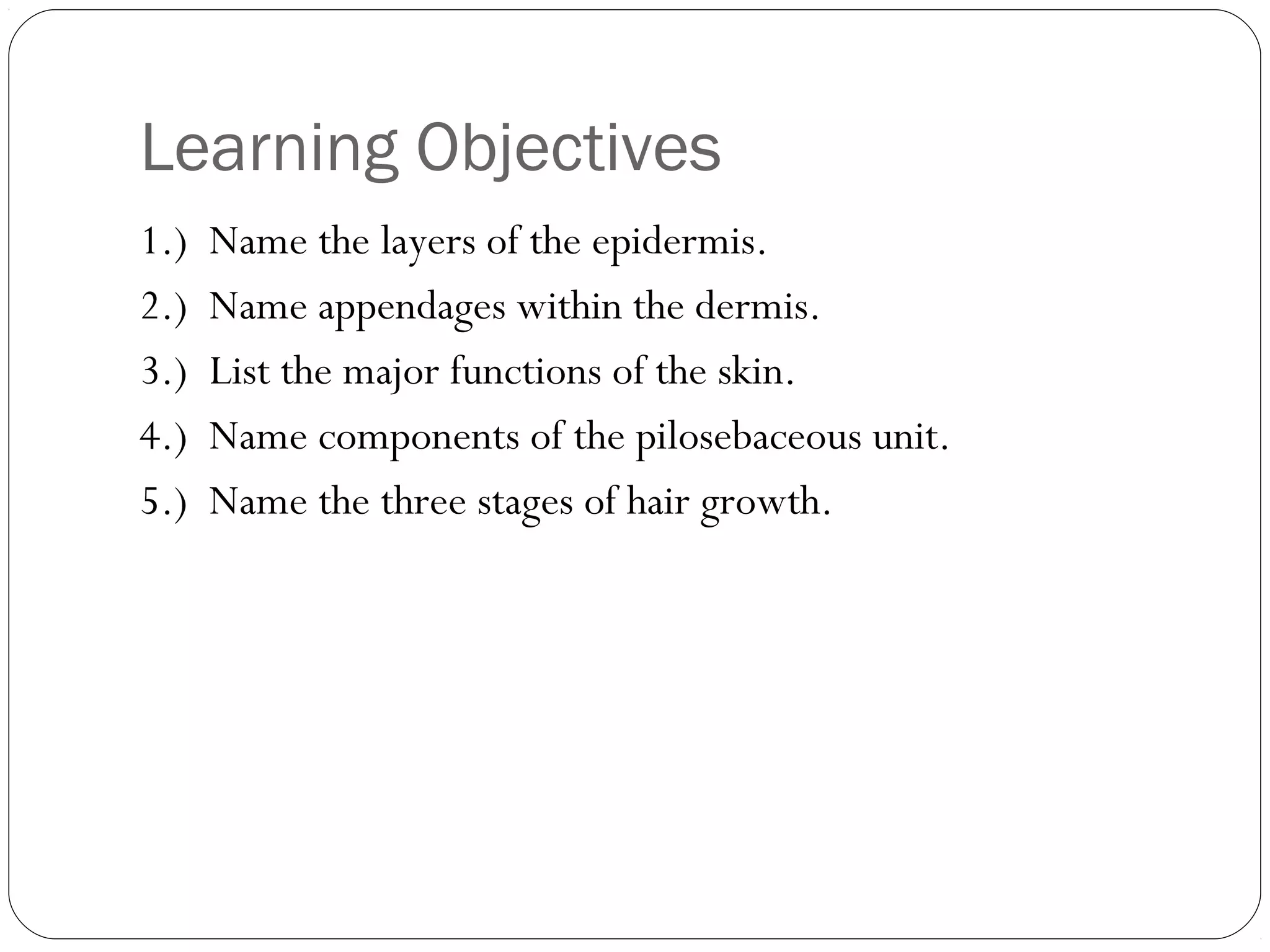 D anatomy and physiology of the hair and skin | PPT