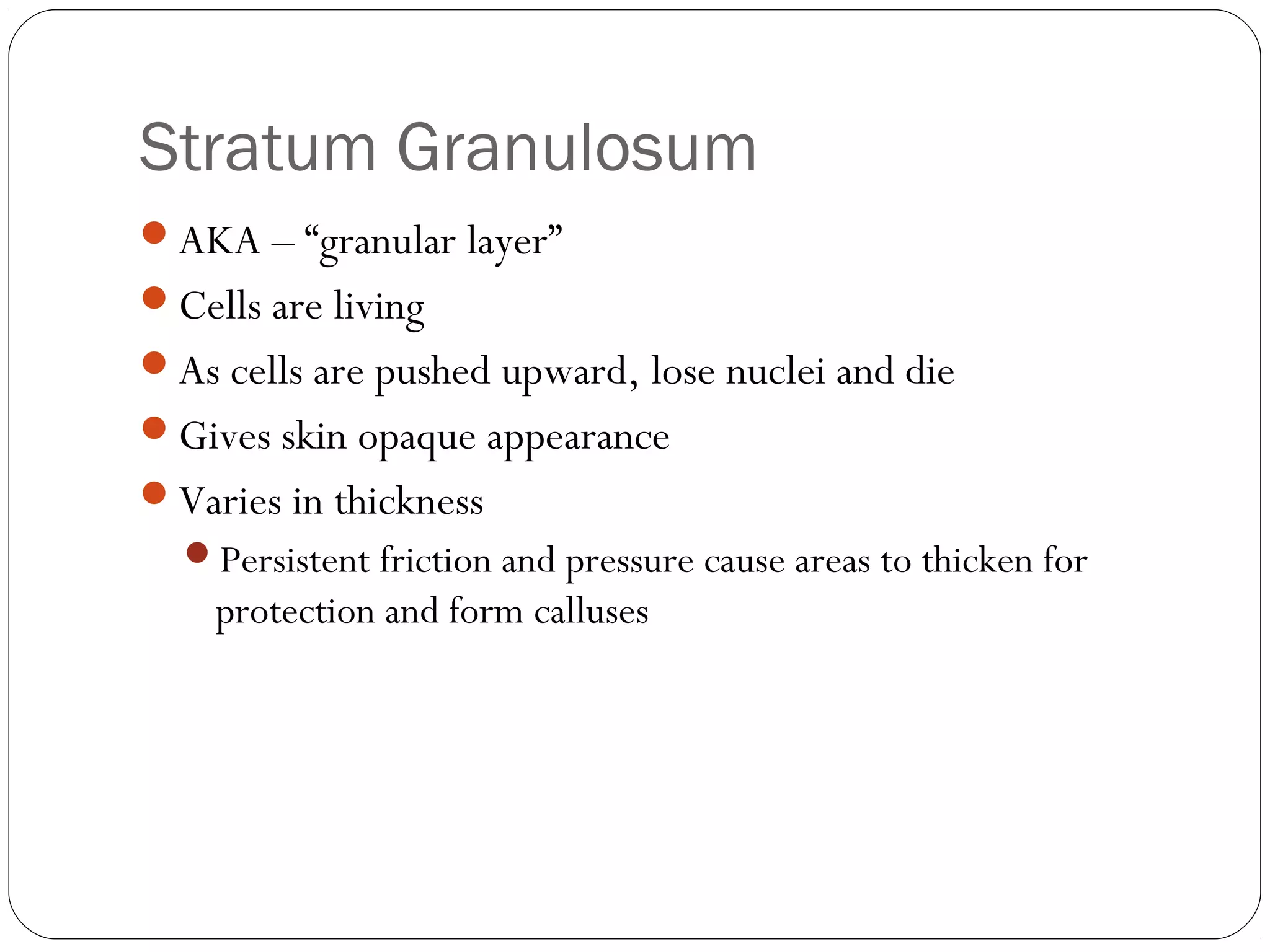 D anatomy and physiology of the hair and skin | PPT