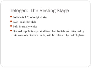 D anatomy and physiology of the hair and skin | PPT