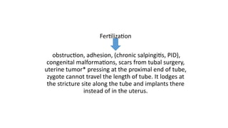 dilatation and curettage reportD-and-C.pptx