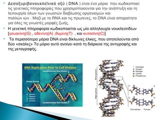DNA - Βιοτεχνολογία - Γονιδιακη θεραπεια | PPT
