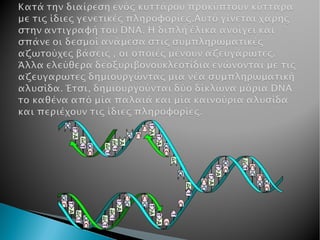 DNA - Βιοτεχνολογία - Γονιδιακη θεραπεια | PPT
