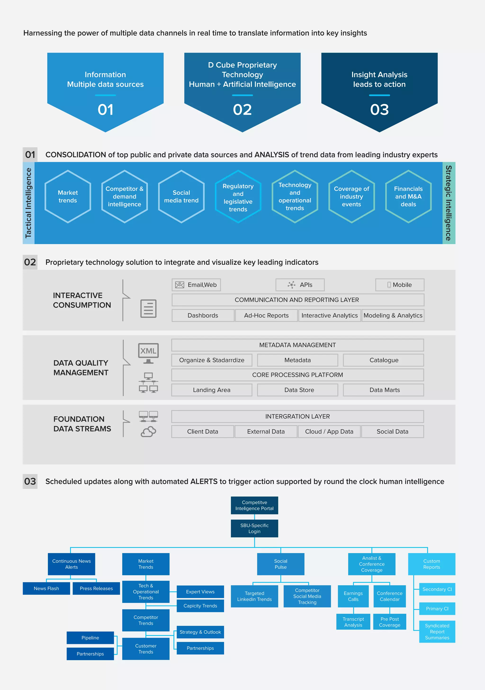 DDS Intelligence Portal | PDF