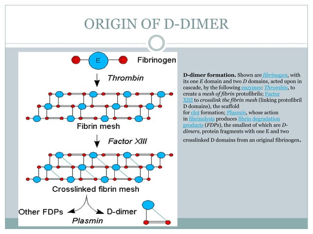 D dimer test and sample collection procedure | PPTX | Blood Disorders ...