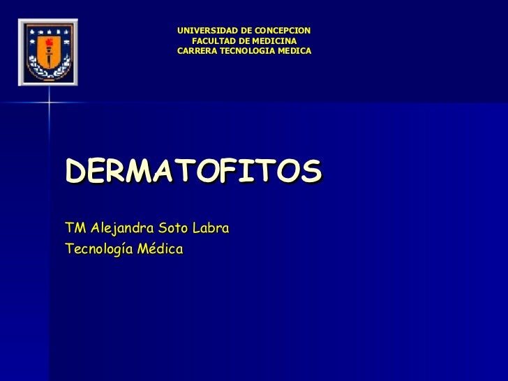 Blog Archives - harea