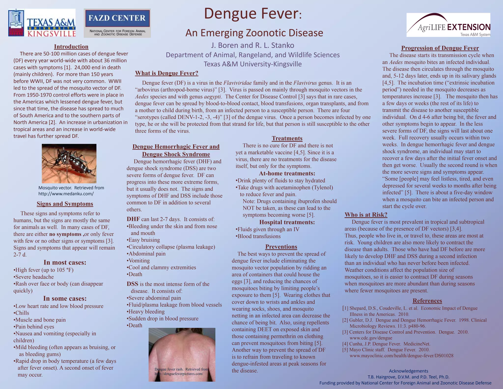 Dengue Fever Poster | PPTX