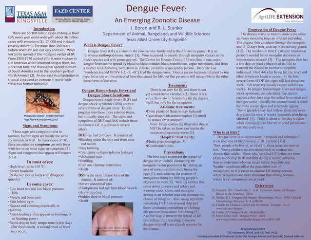 Dengue Fever Poster | PPTX | Infectious Diseases | Diseases and Conditions