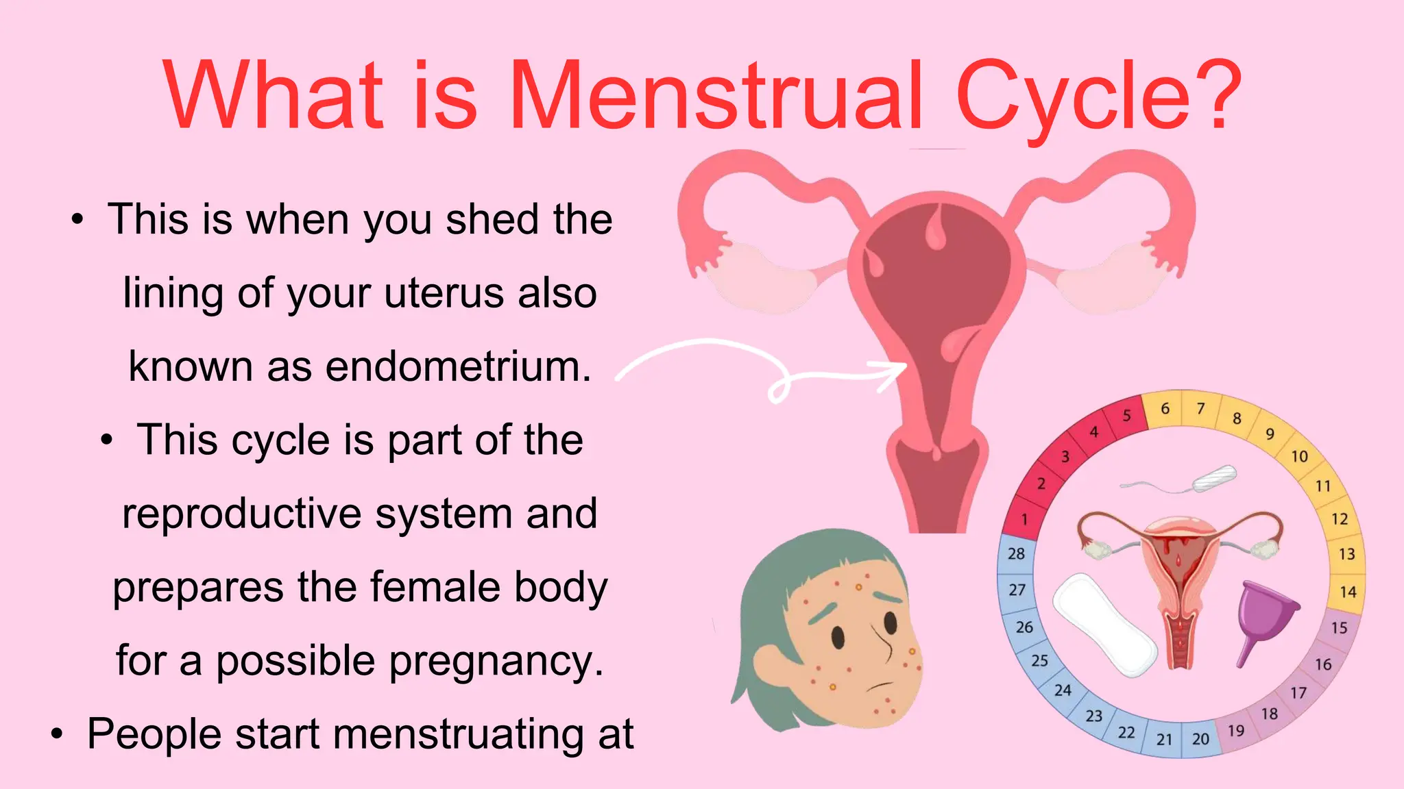 D- the menstrual cucle and its phases.pptx