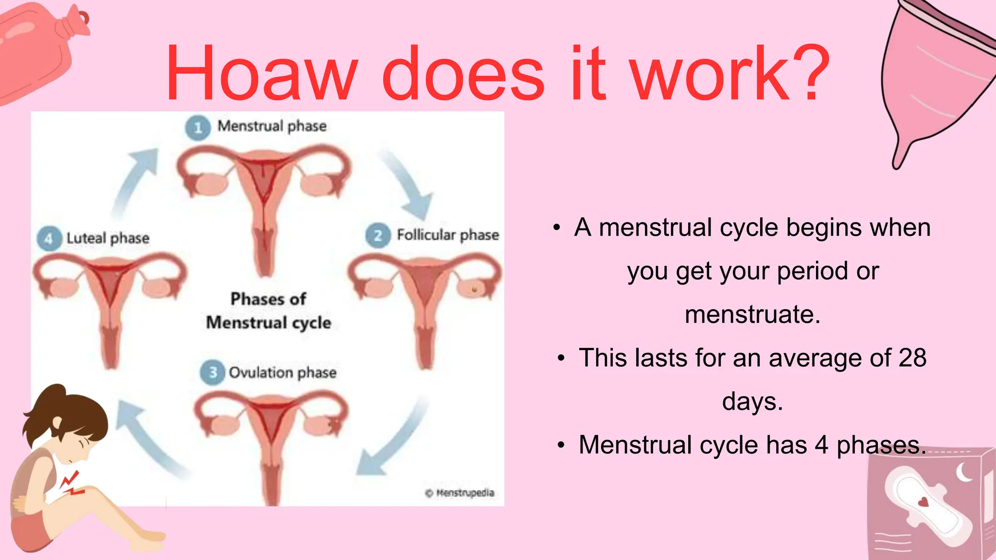 D- the menstrual cucle and its phases.pptx