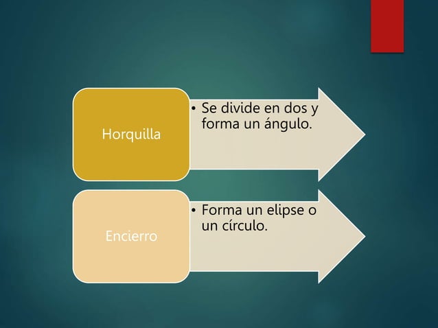 D-Presentacion1.pptx