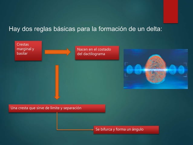 D-Presentacion1.pptx