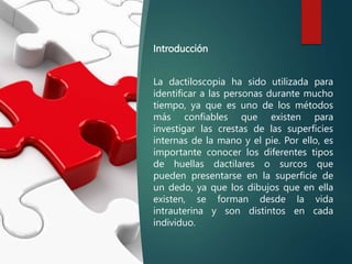 D-Presentacion1.pptx
