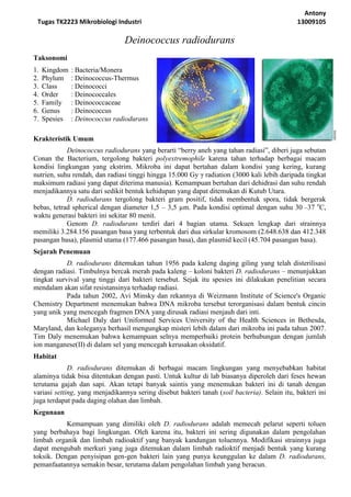 D. radiodurans | DOCX