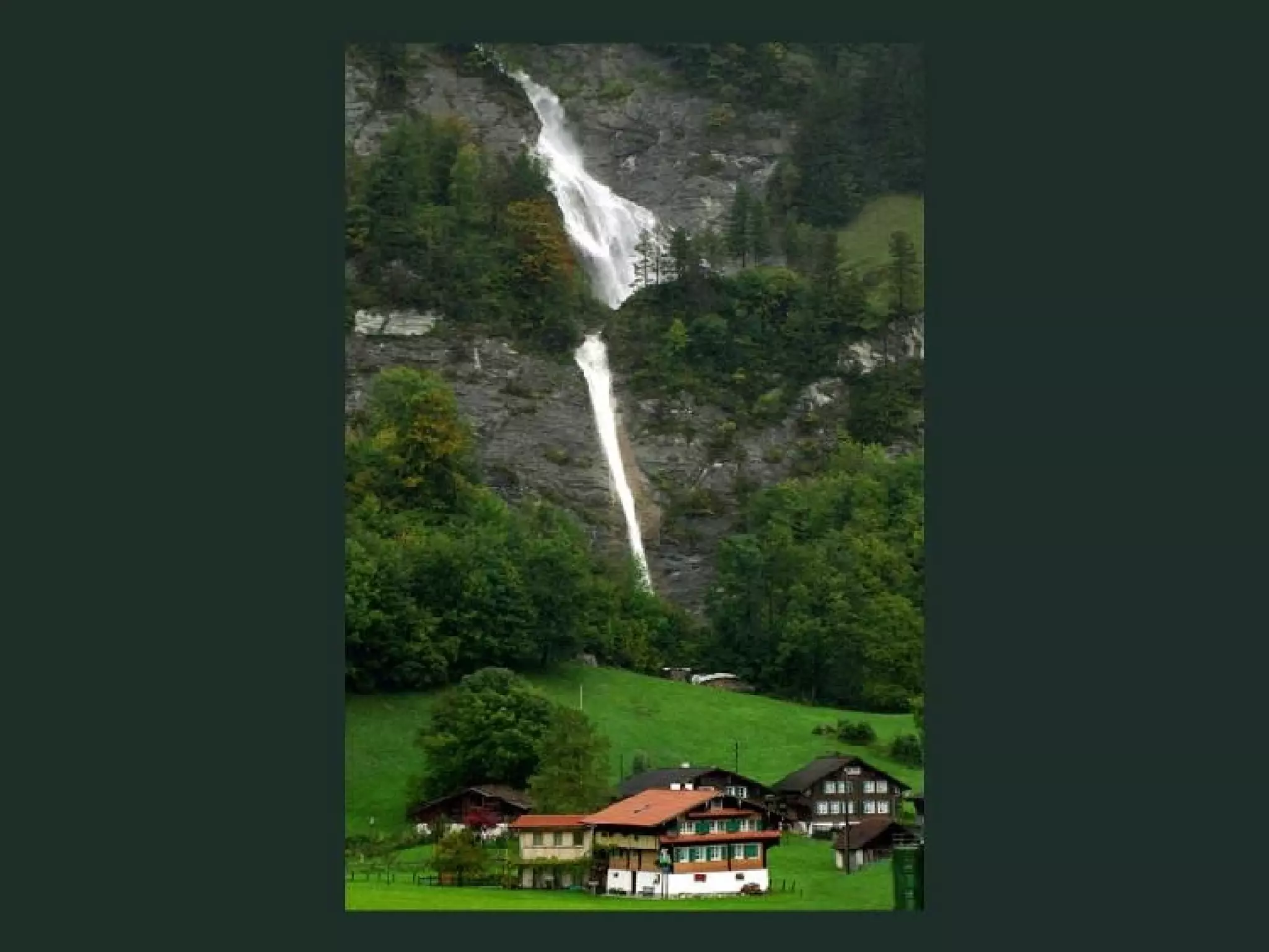 D Suiza Jimc Jimc | PPS