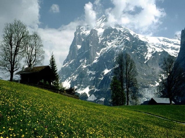 D Suiza Jimc Jimc | PPS