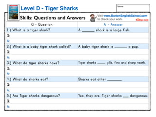 D Tiger Sharks | PDF