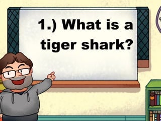 D Tiger Sharks | PDF