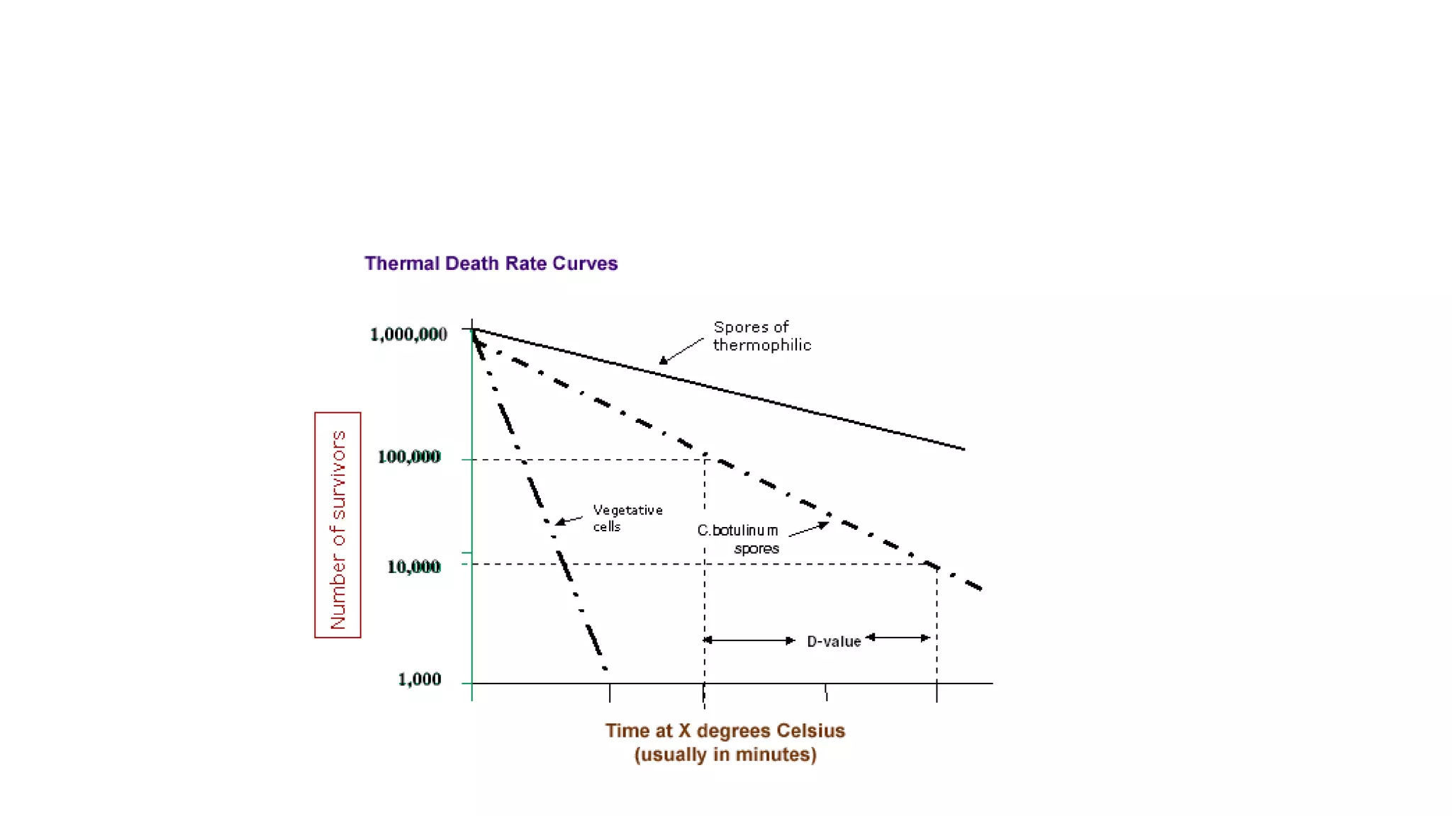 D-Value-Z-Value-F-Value-12-D-Concept.pptx