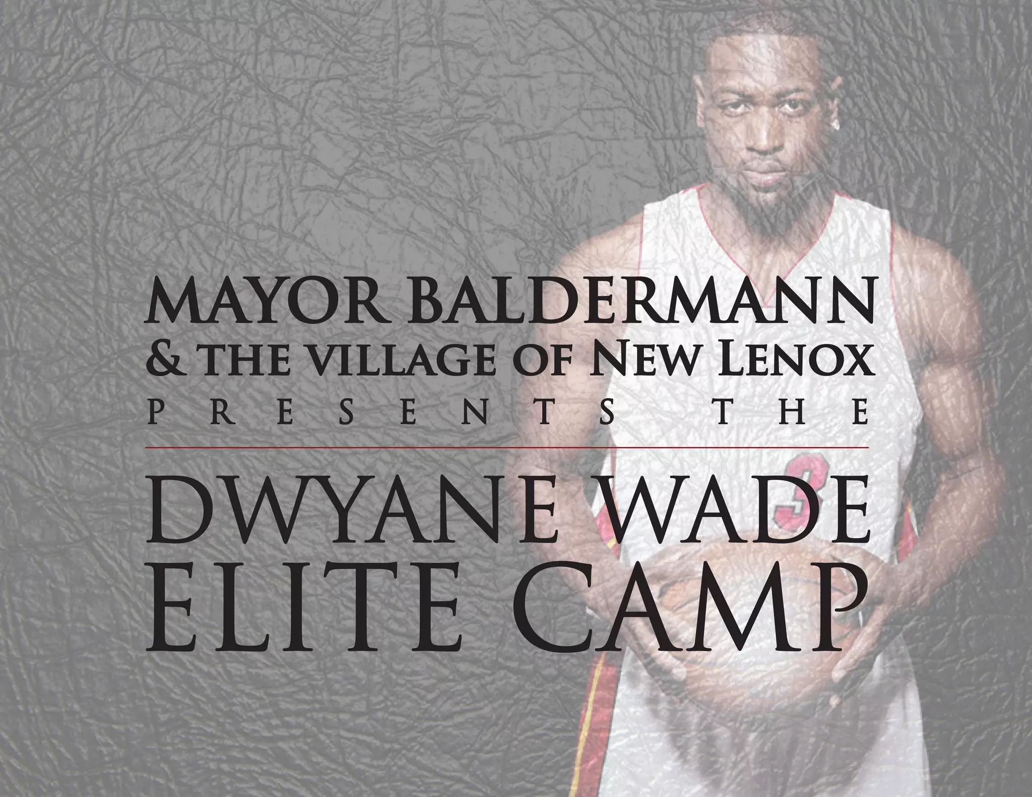 ILMG D. Wade Presentation | PDF