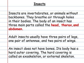 What is an insect | PPTX