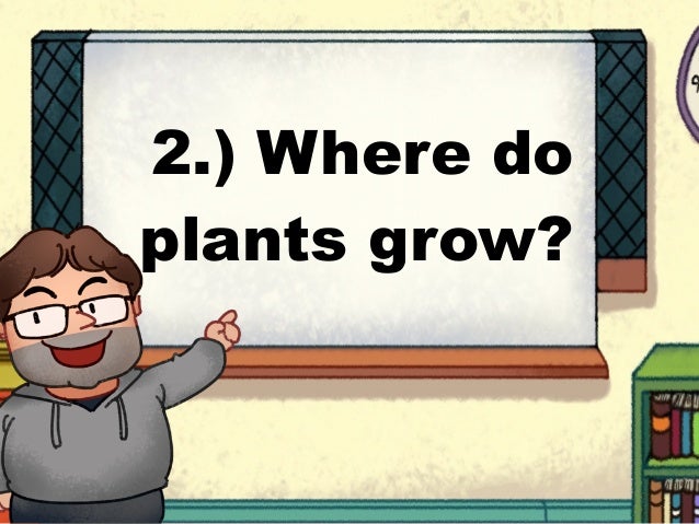 D Where Plants Grow