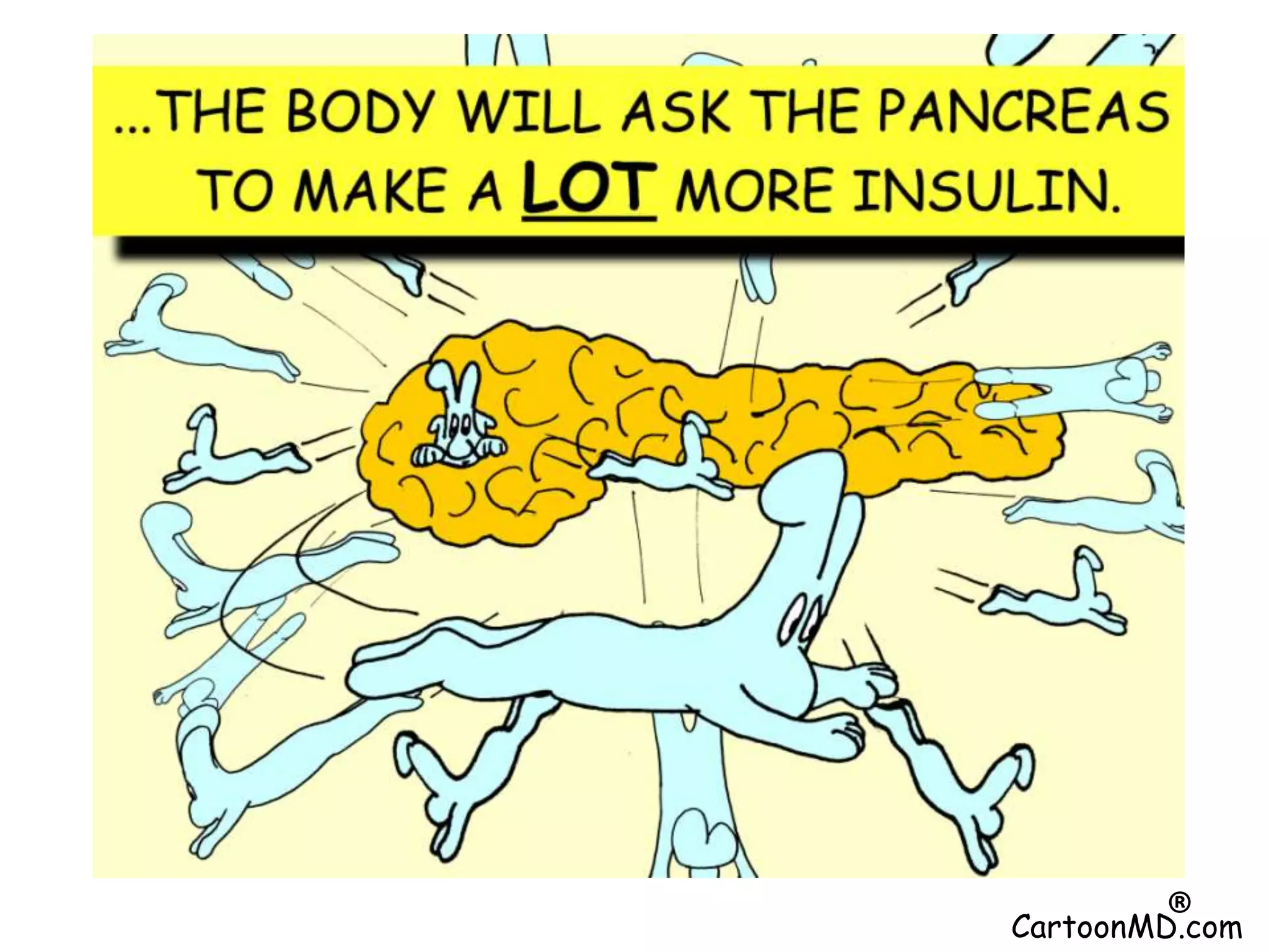More Insulin - When There is Insulin Resistance | PPTX