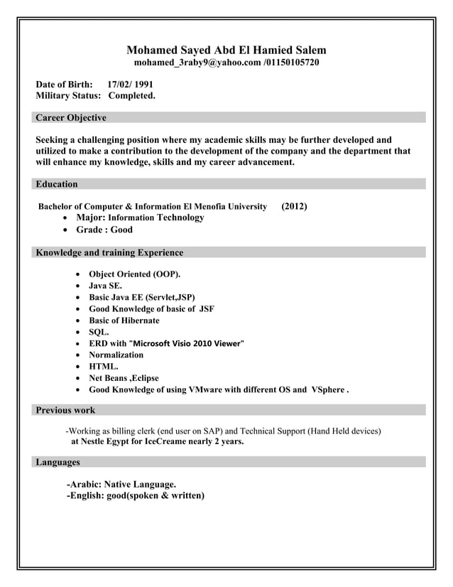 Mohamed Sayed Abd El Hamied Salem | DOC | Computing | Technology & Computing
