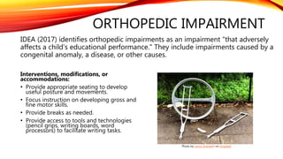 14 Disability Categories | PPSX