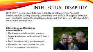 14 Disability Categories | PPSX
