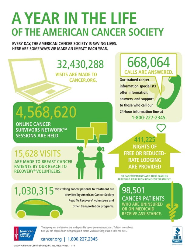 A Year in the Life of ACS infographic | PDF