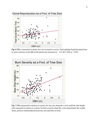 Fire Intensity Effects on Coastal Redwood Regeneration | PDF