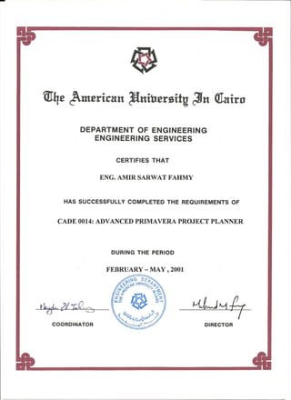 AUC Project Management Certificate Color | PDF