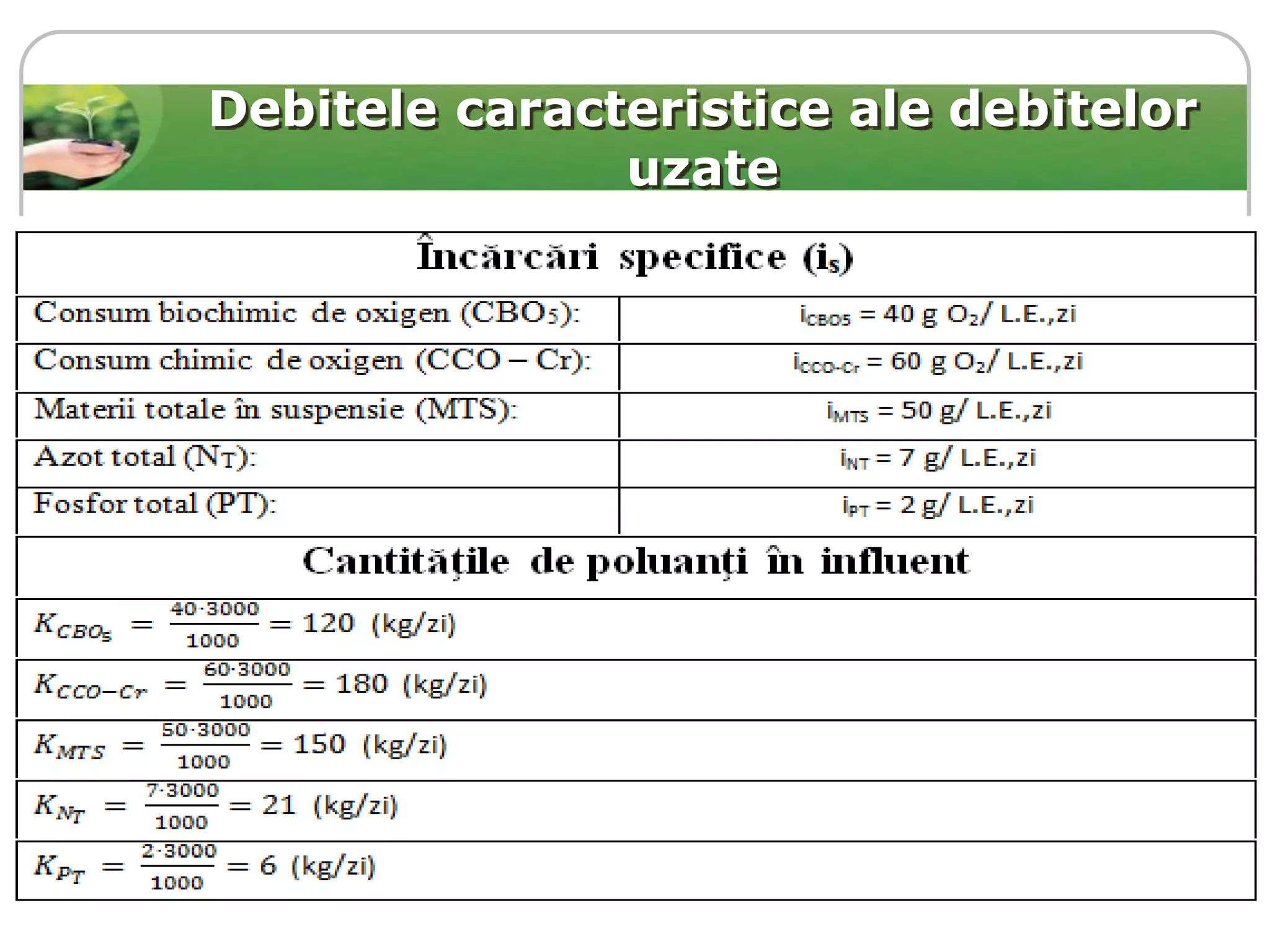 Proiect de Diplomă. Murariu Catalina | PPTX