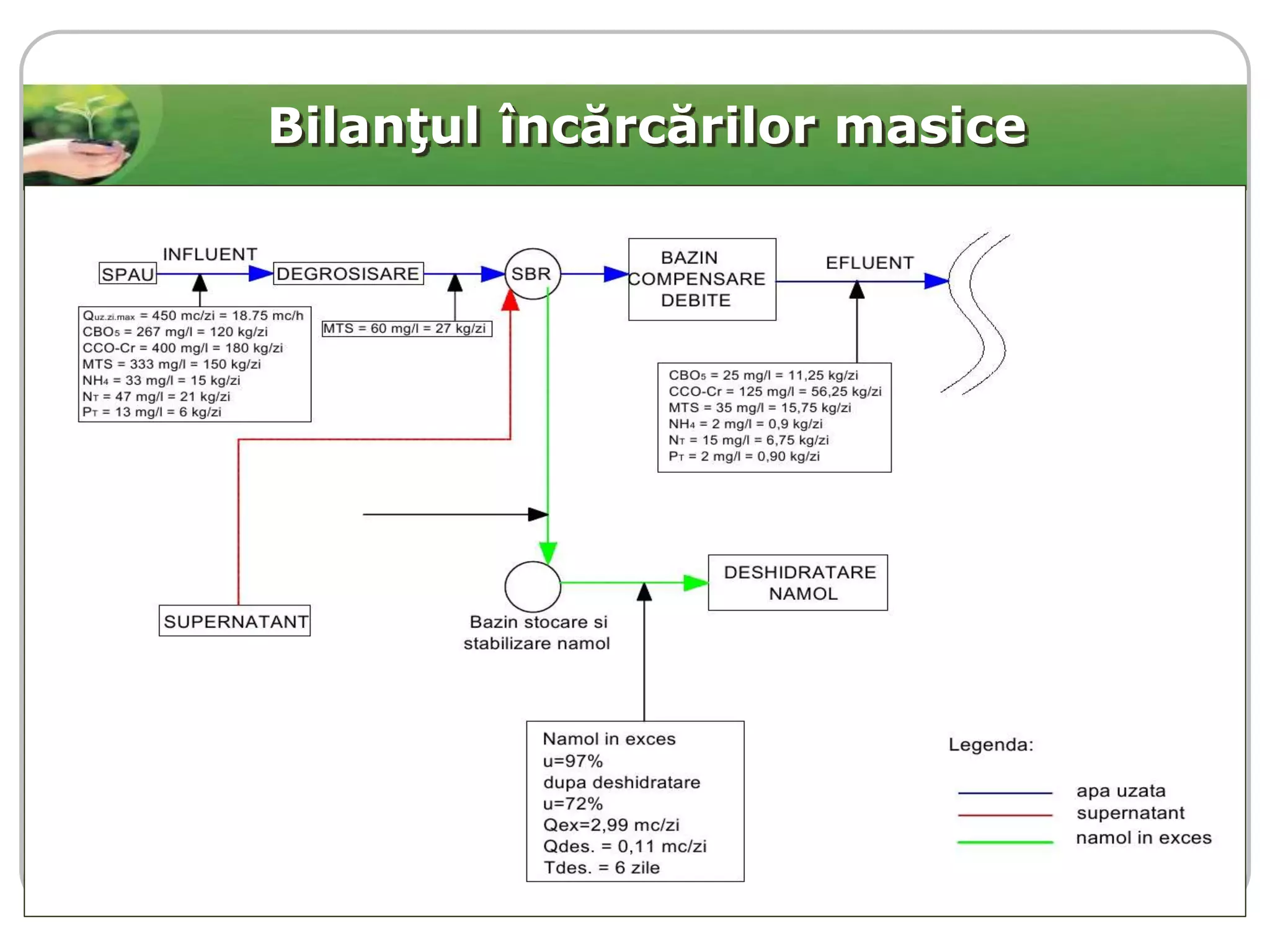 Proiect de Diplomă. Murariu Catalina | PPTX
